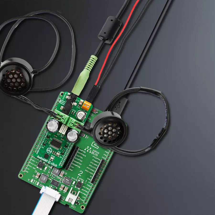 Amplify your listening experience with PAM8124 and MK64FN1M0VDC12 ...